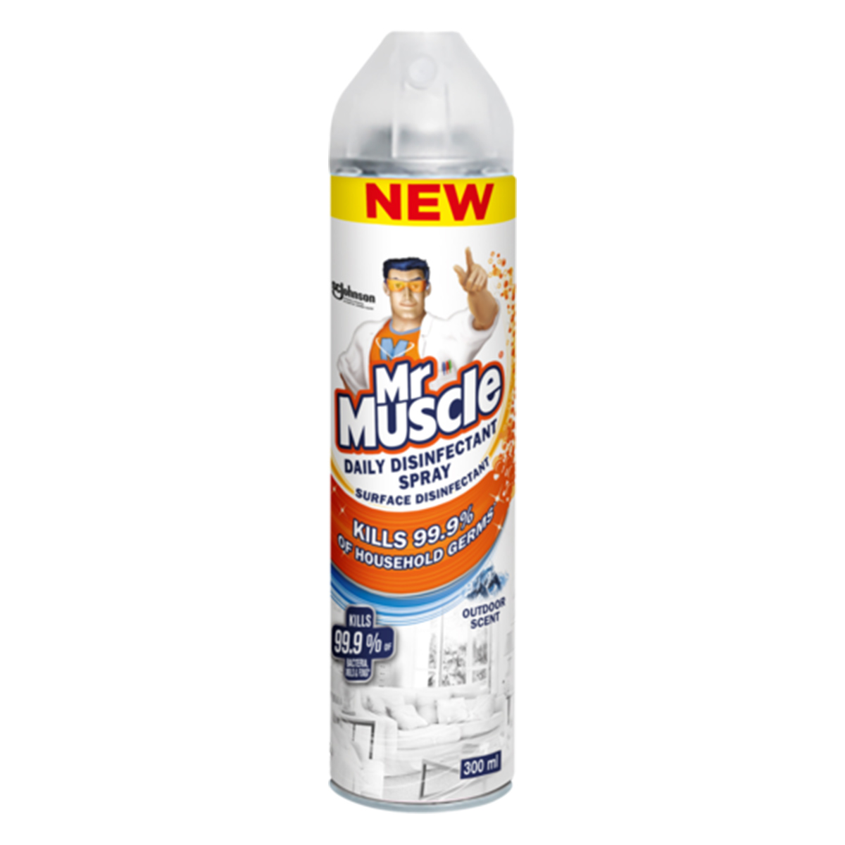 Mr Muscle Disinfectant Mountain Fresh 300ml - Dukakeen.com
