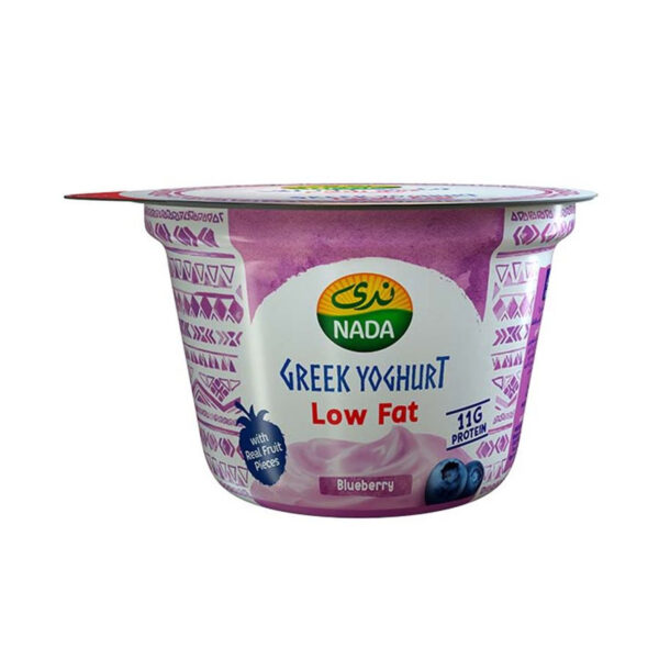 Nada Greek Yoghurt Blueber 160 - Dukakeen.com